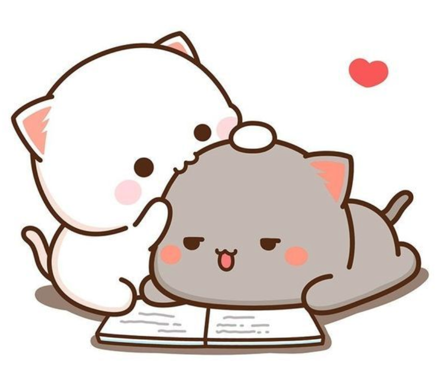 About Peach and Goma Cat: The Adorable Cat Couple